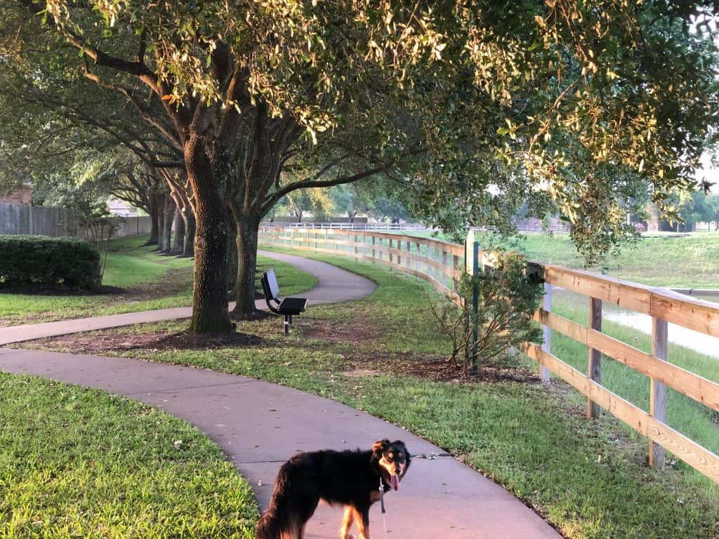 The Value Of Rest Stops